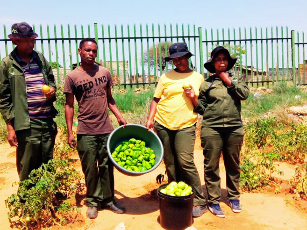 Morero Agricultural Academy